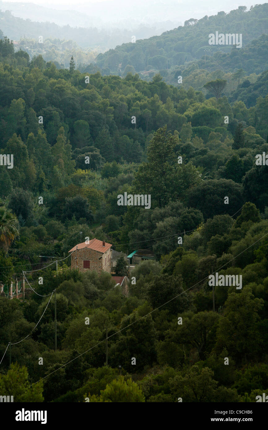 Sardinian trees hi-res stock photography and images - Alamy