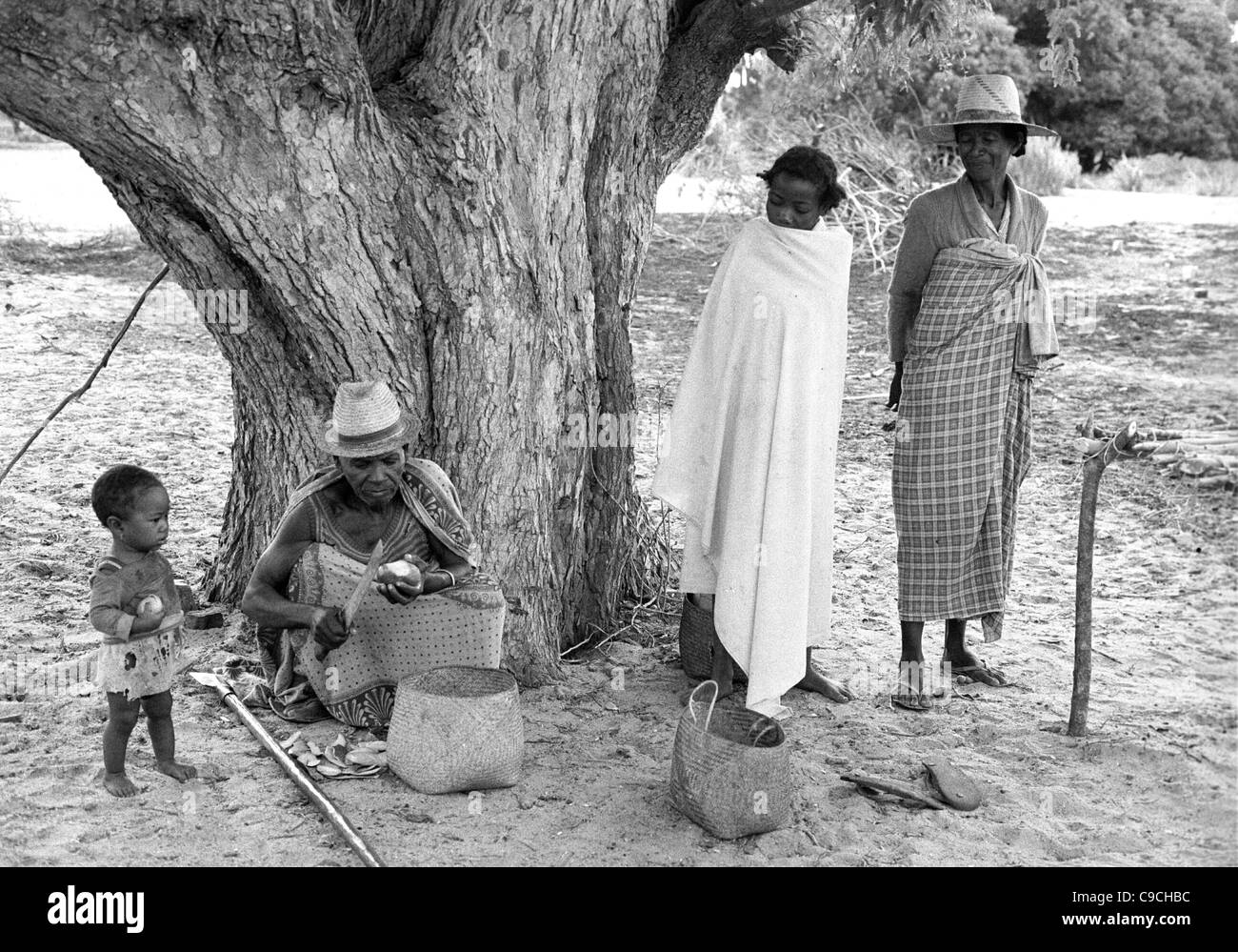 Mahafaly Family Wait in the Shade Beneath a Tamarind Tree, Tamarindus ...