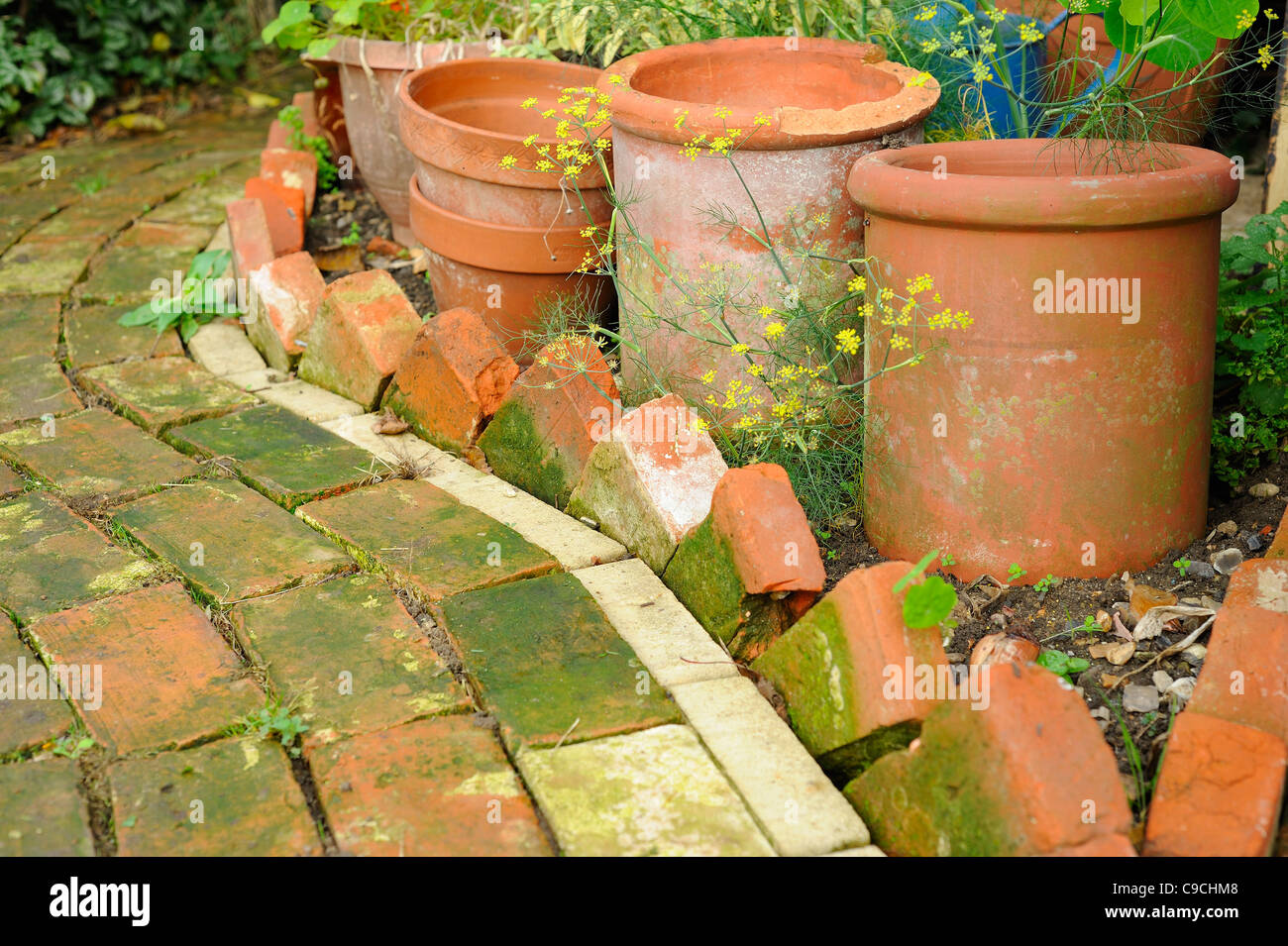 Reclaimed Brick Path Reclaimed Bricks Usage Transforming Your