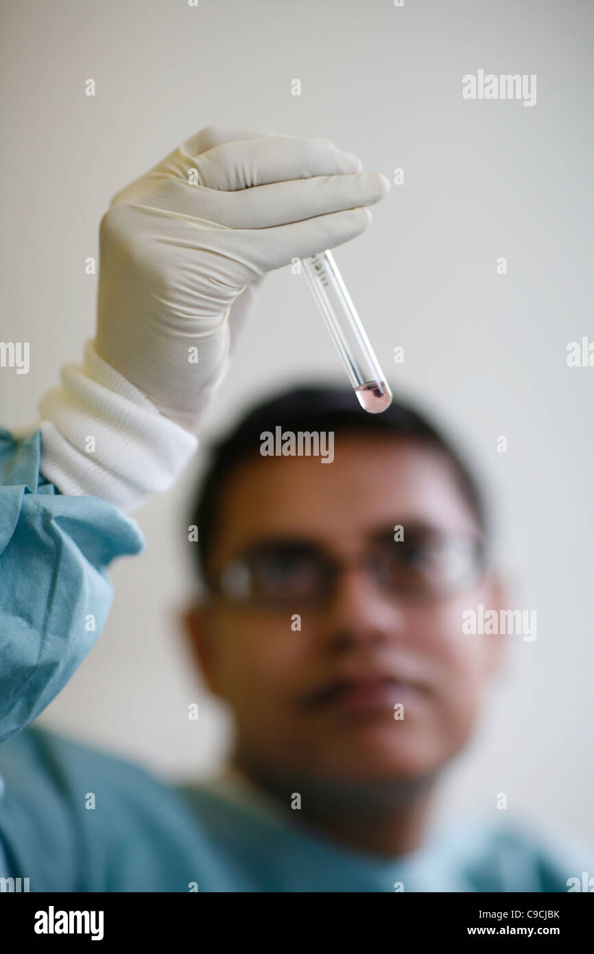 scientist looking at test tube sample st marys hospital london uk Stock ...
