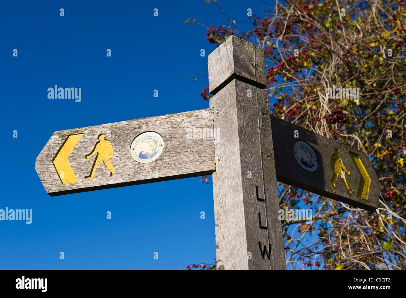 Bilingual Welsh English language signpost for the Wye Valley Walk at ...