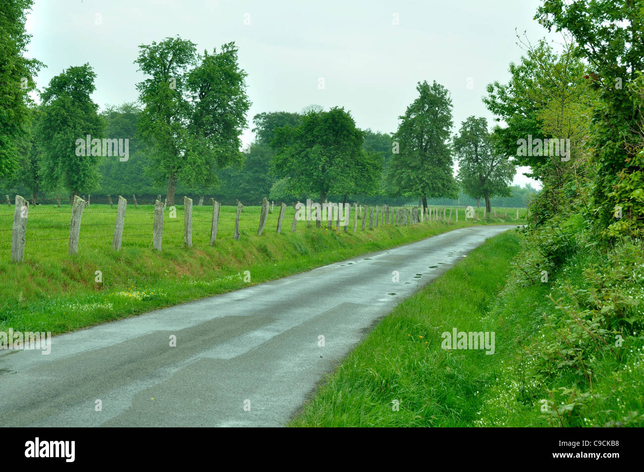 Road in the countryside, at spring, near Domfront (Normandy, France ...