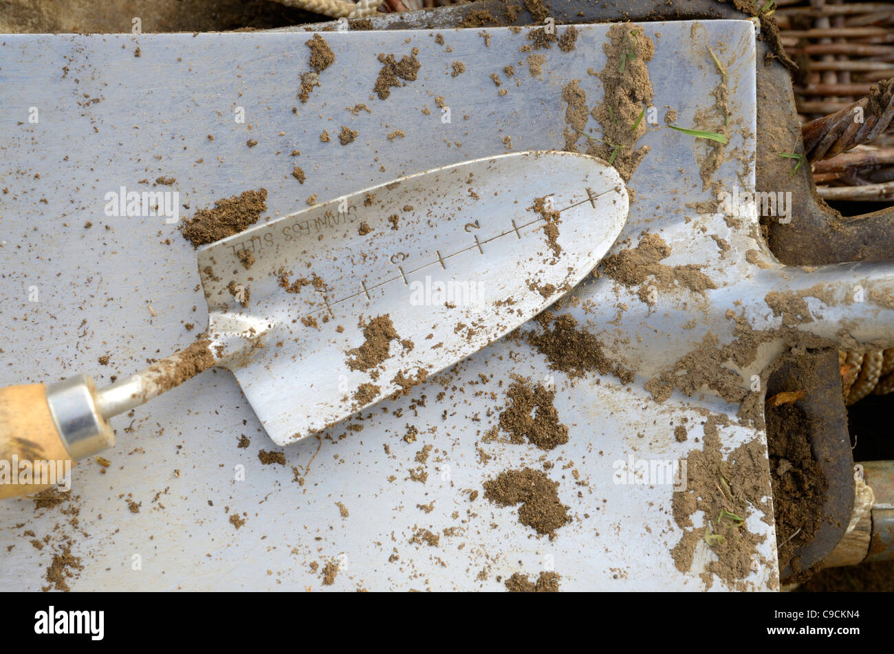 Using a spade hi-res stock photography and images - Alamy