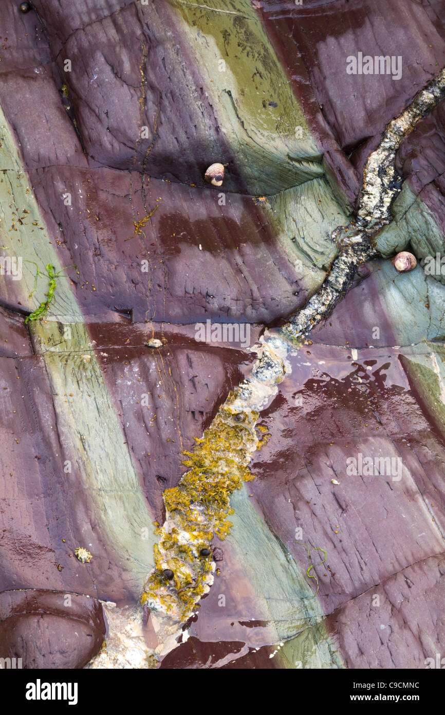 Rock colours and patterns; Trebetherick Point Stock Photo - Alamy