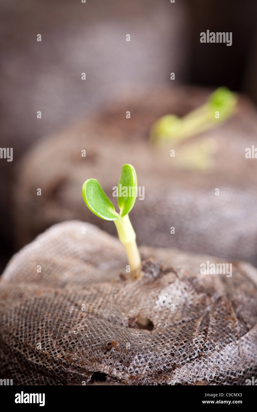 Agricultulture hi-res stock photography and images - Alamy