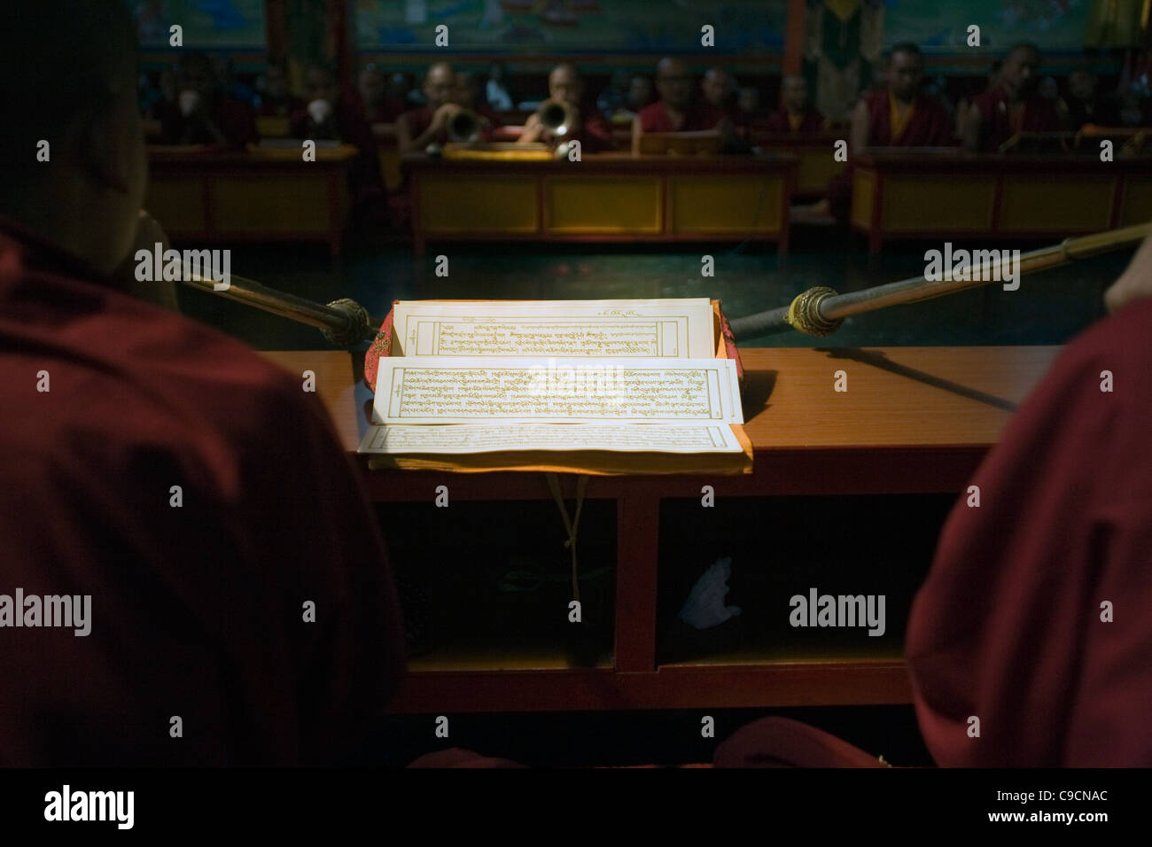 Buddhist monks reading and chanting sutras at the Vajra Vidya Institute ...