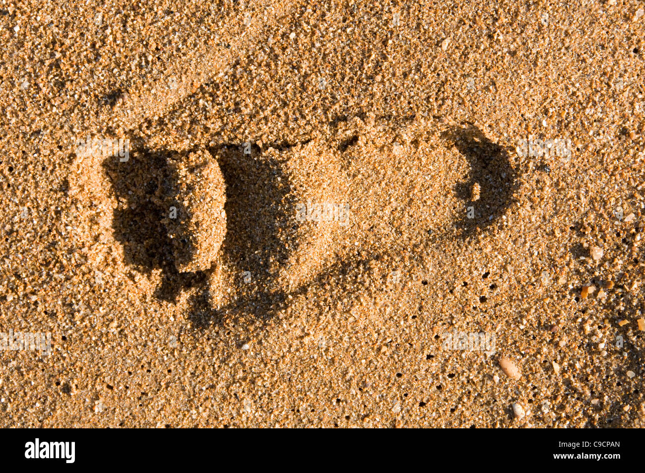 Childs footprint hi-res stock photography and images - Alamy
