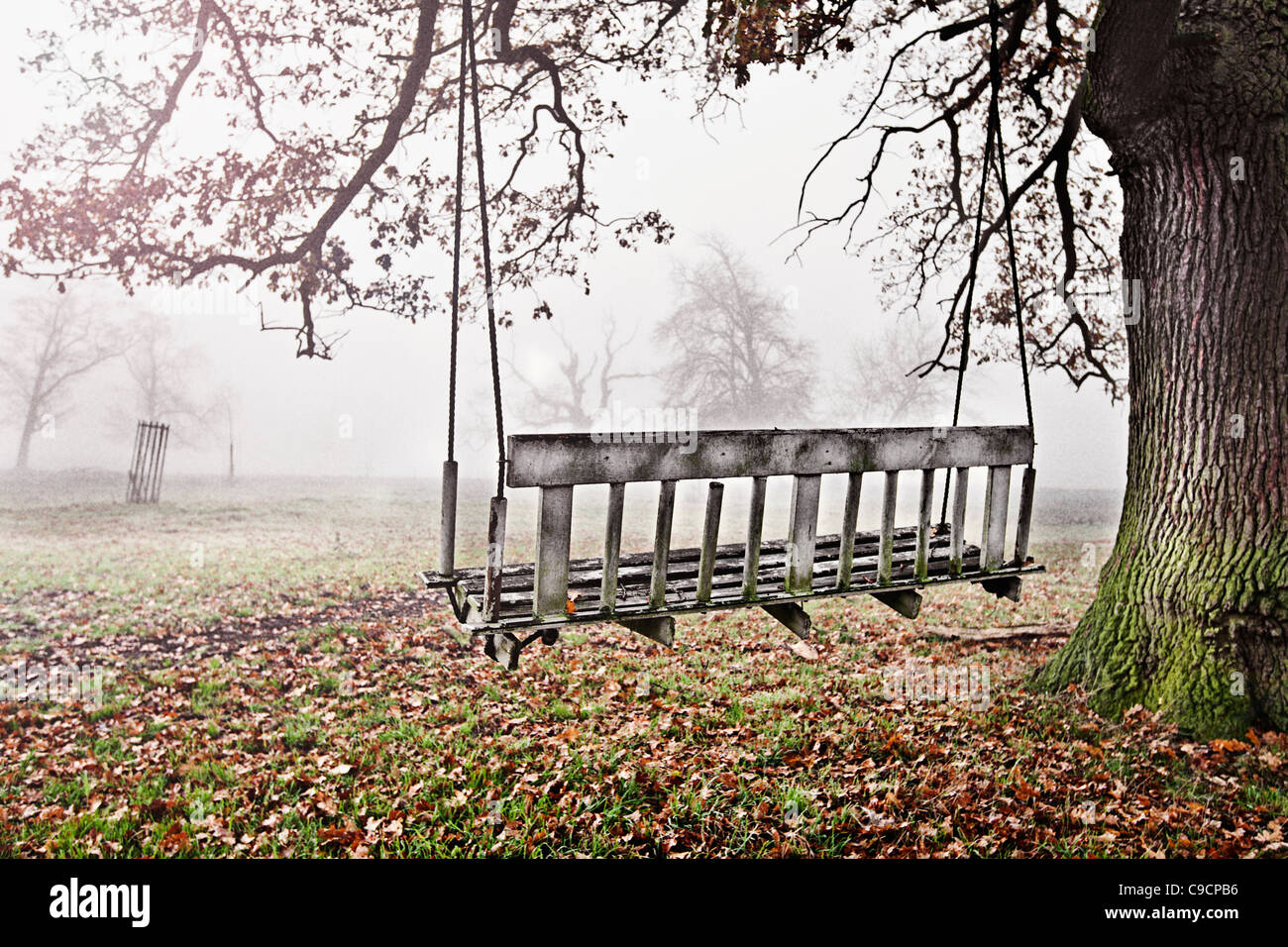 Tree swing bench hi-res stock photography and images - Alamy