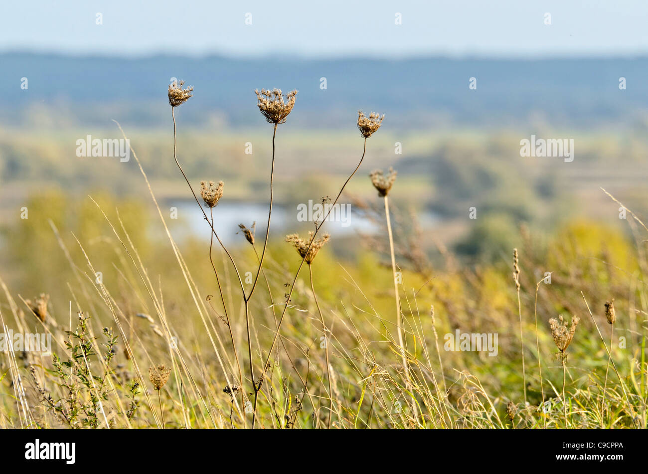 Gartz hi-res stock photography and images - Alamy