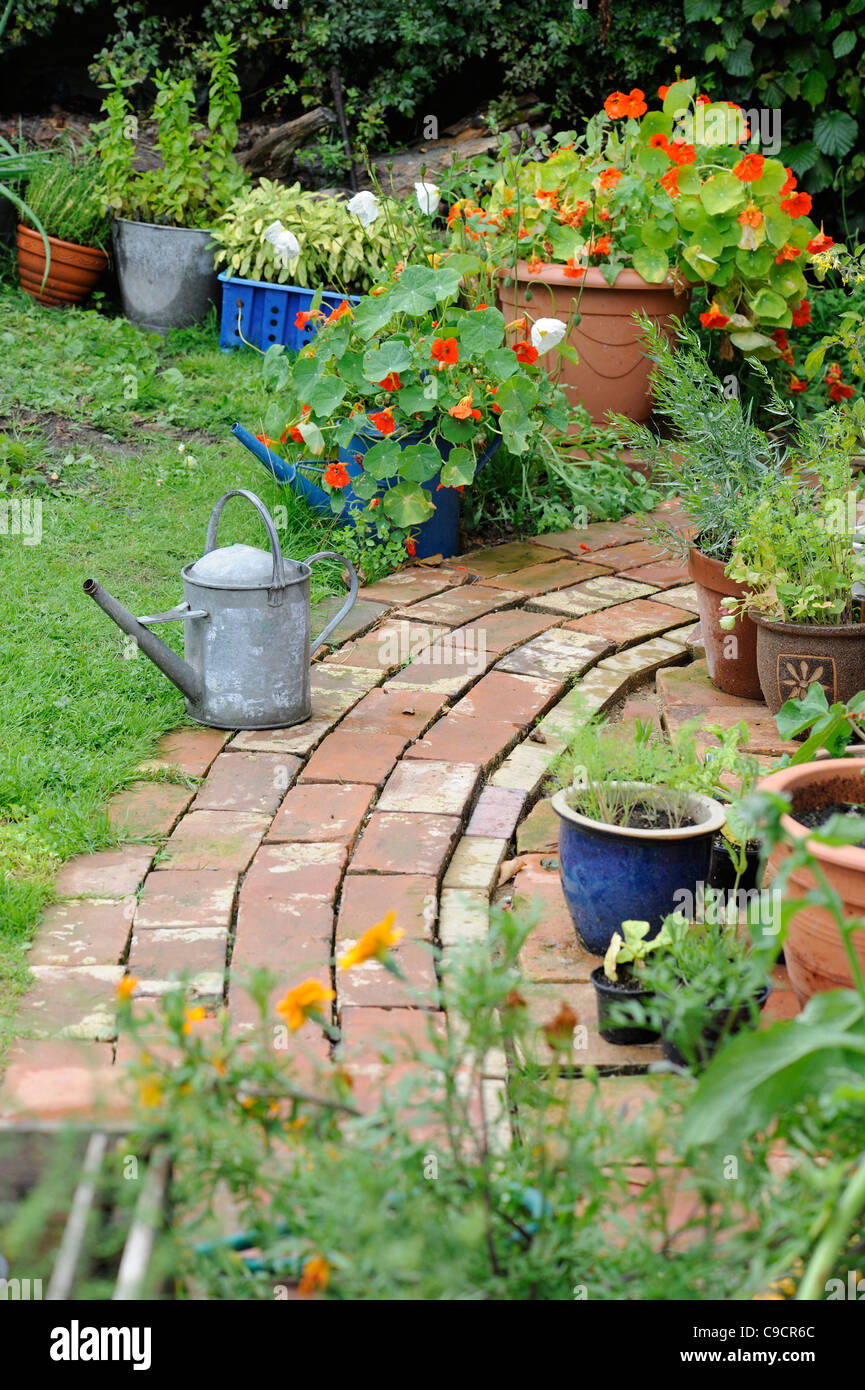 Rustic reclaimed brick path with pot grown herbs and nasturtiums ...