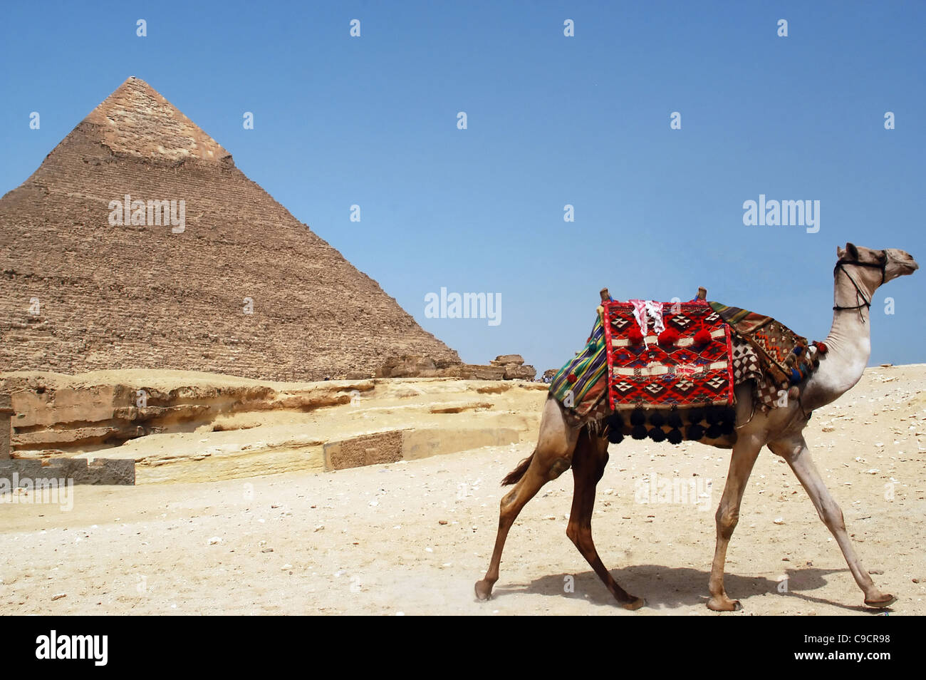 Ancient Egyptian Iconic Carving Sphinx High Resolution Stock ...