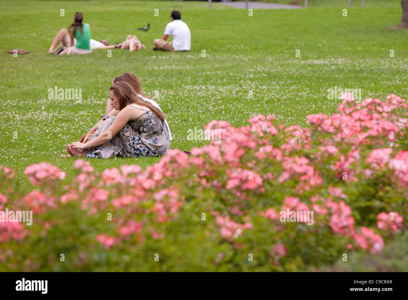 Melbourne images in australia hi-res stock photography and images - Alamy
