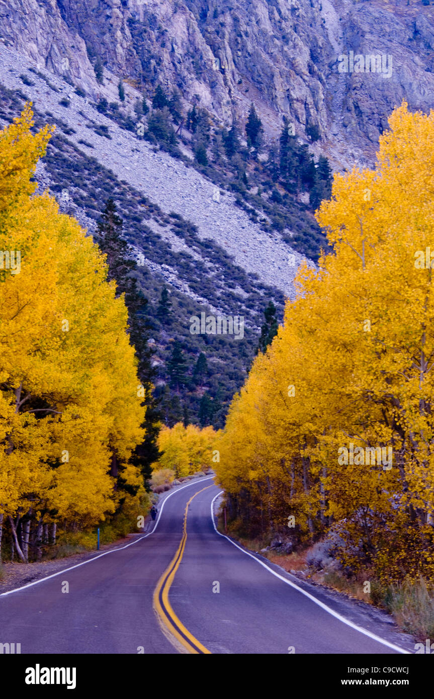 Fall Foliage California High Resolution Stock Photography and Images ...