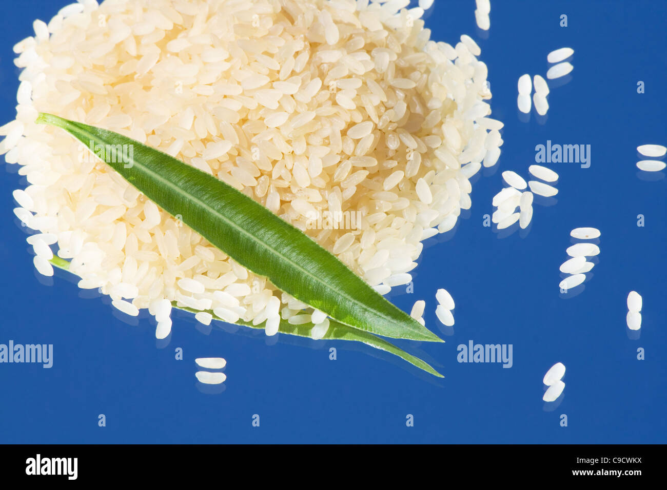 Food Ingredients - White rice on blue background Stock Photo - Alamy