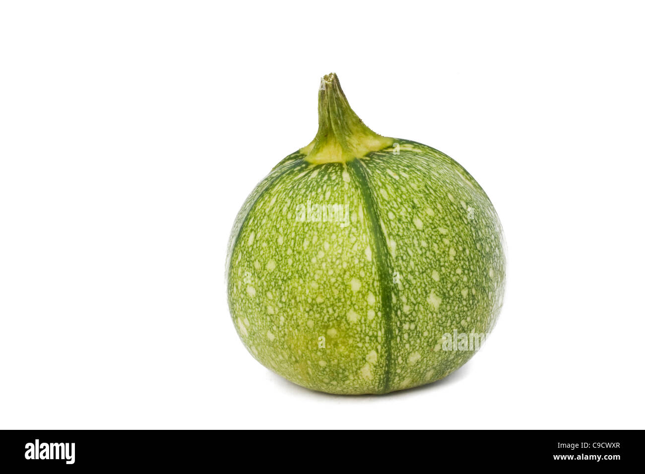 Round zucchini hi-res stock photography and images - Alamy