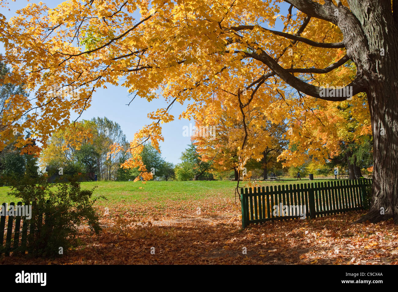 The Colors of Autumn Stock Photo - Alamy