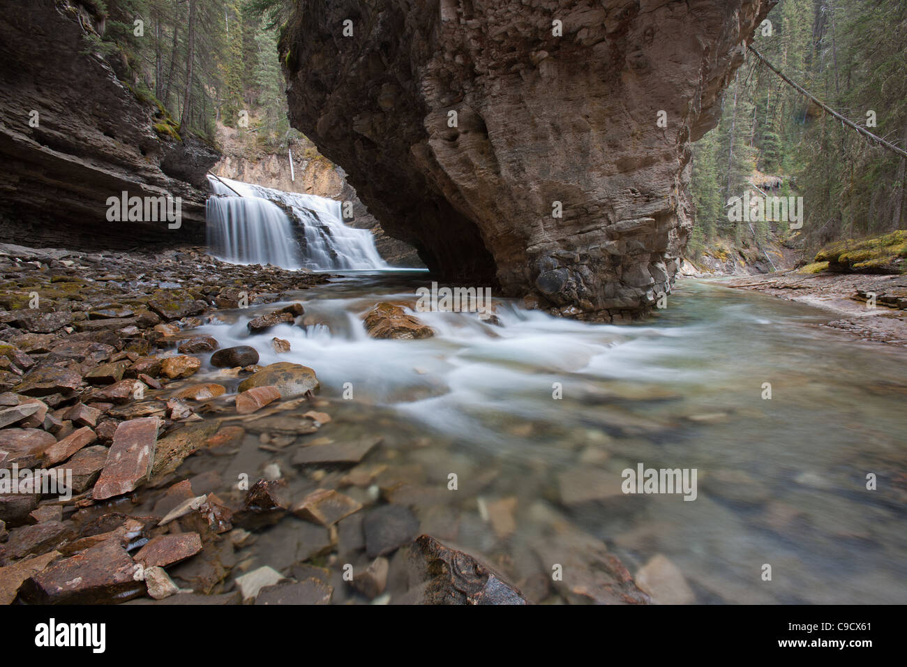 Johnston Canyon Falls, Alberta, Canada Stock Photo - Alamy