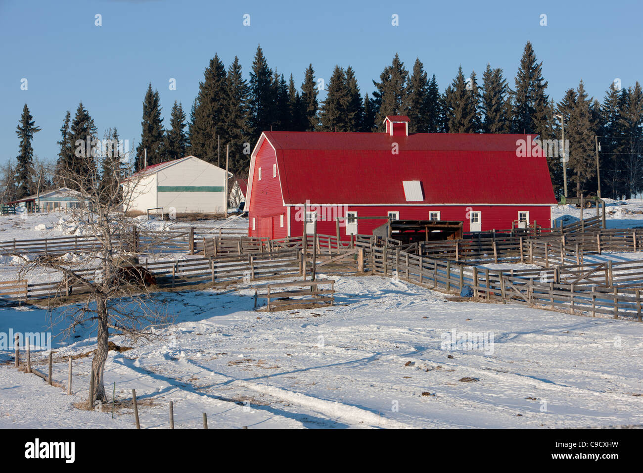 Winter Wonderland at a Farm Stock Photo - Alamy