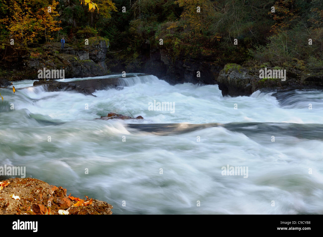 Stamp falls hi-res stock photography and images - Alamy