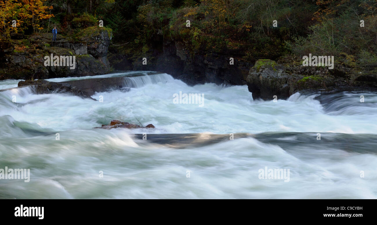 Stamp falls hi-res stock photography and images - Alamy