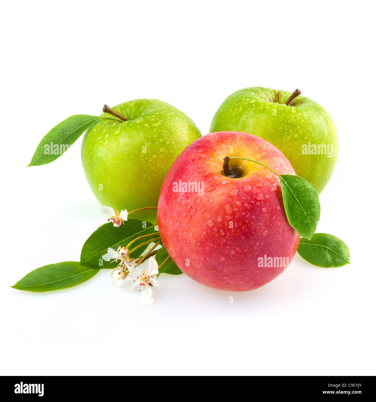 Apple leaves hi-res stock photography and images - Alamy