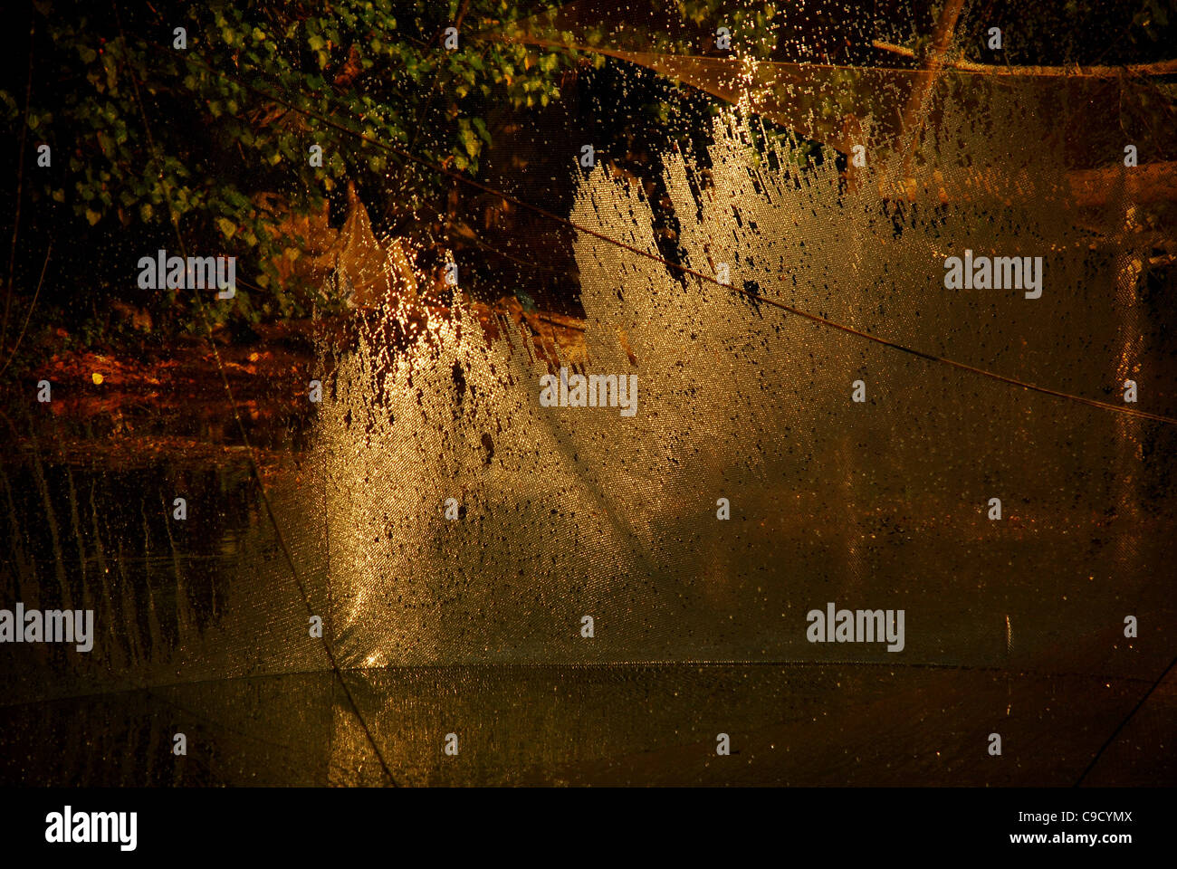 Chinese fishing net in water Stock Photo - Alamy