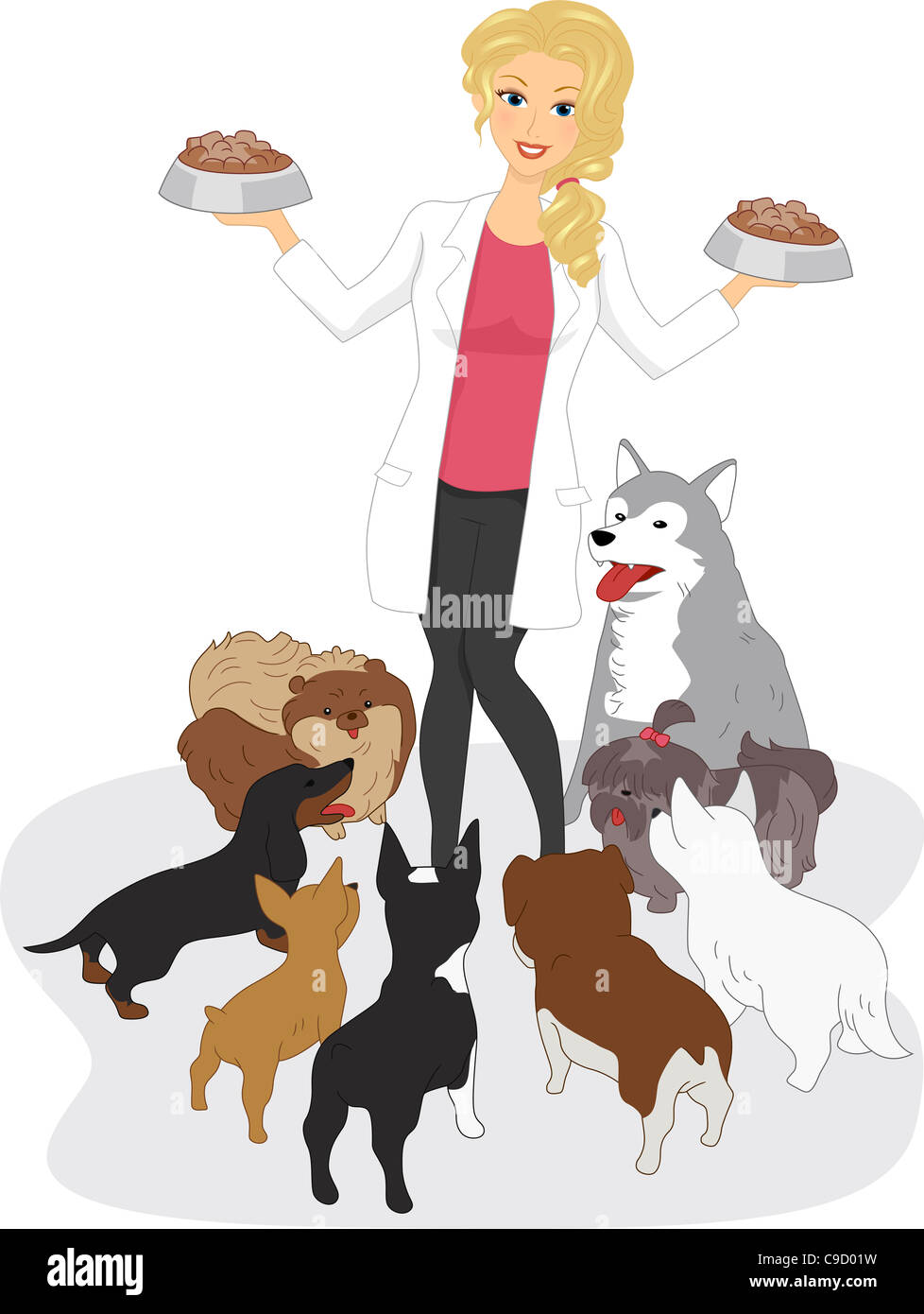 Illustration of a Vet Feeding Dogs Stock Photo - Alamy