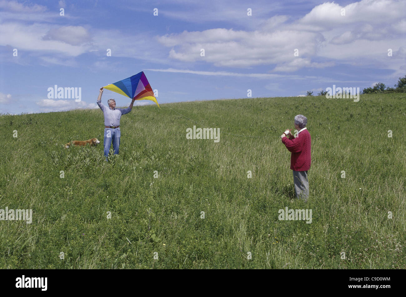 Kite flying field hi-res stock photography and images - Alamy