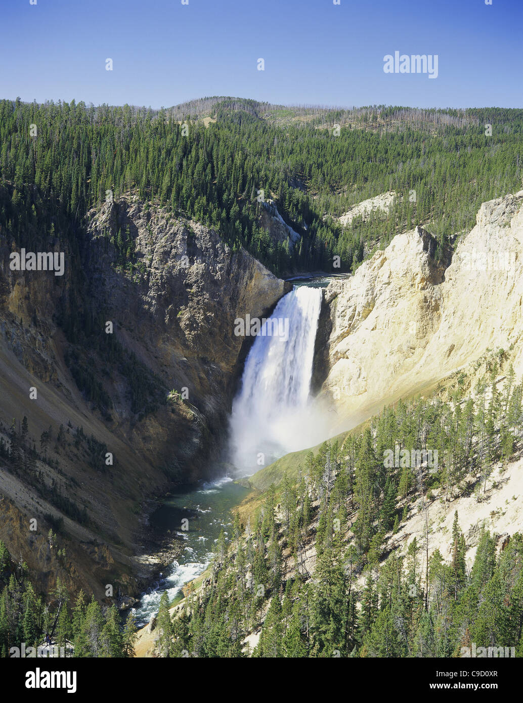 Waterfall of snake hi-res stock photography and images - Alamy