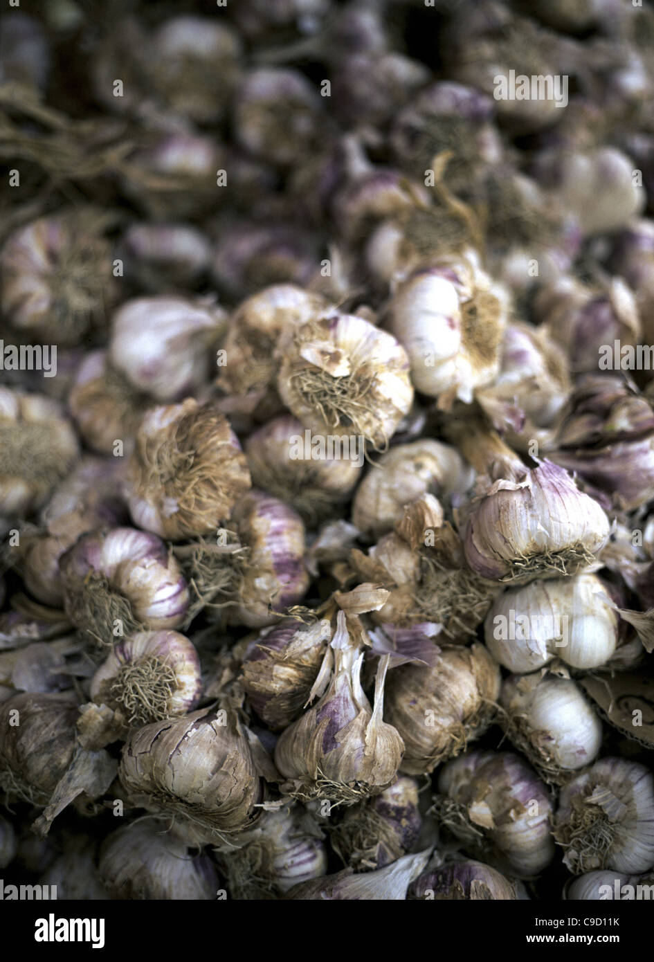 Heap of garlic Stock Photo - Alamy