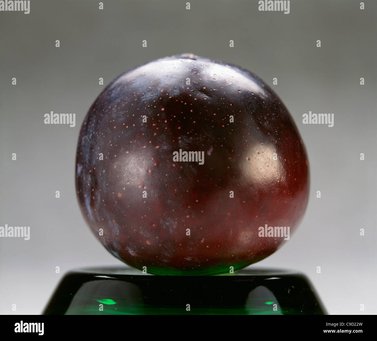 Angeleno plum hi-res stock photography and images - Alamy