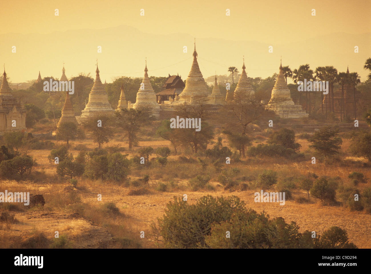 División de bago hi-res stock photography and images - Alamy