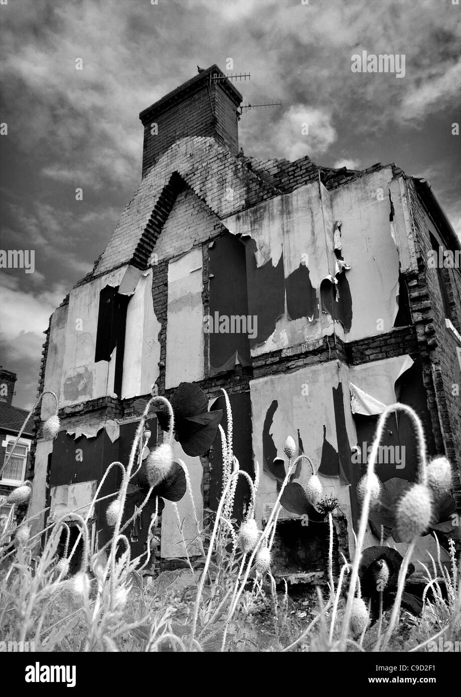 Last standing Black and White Stock Photos & Images - Alamy