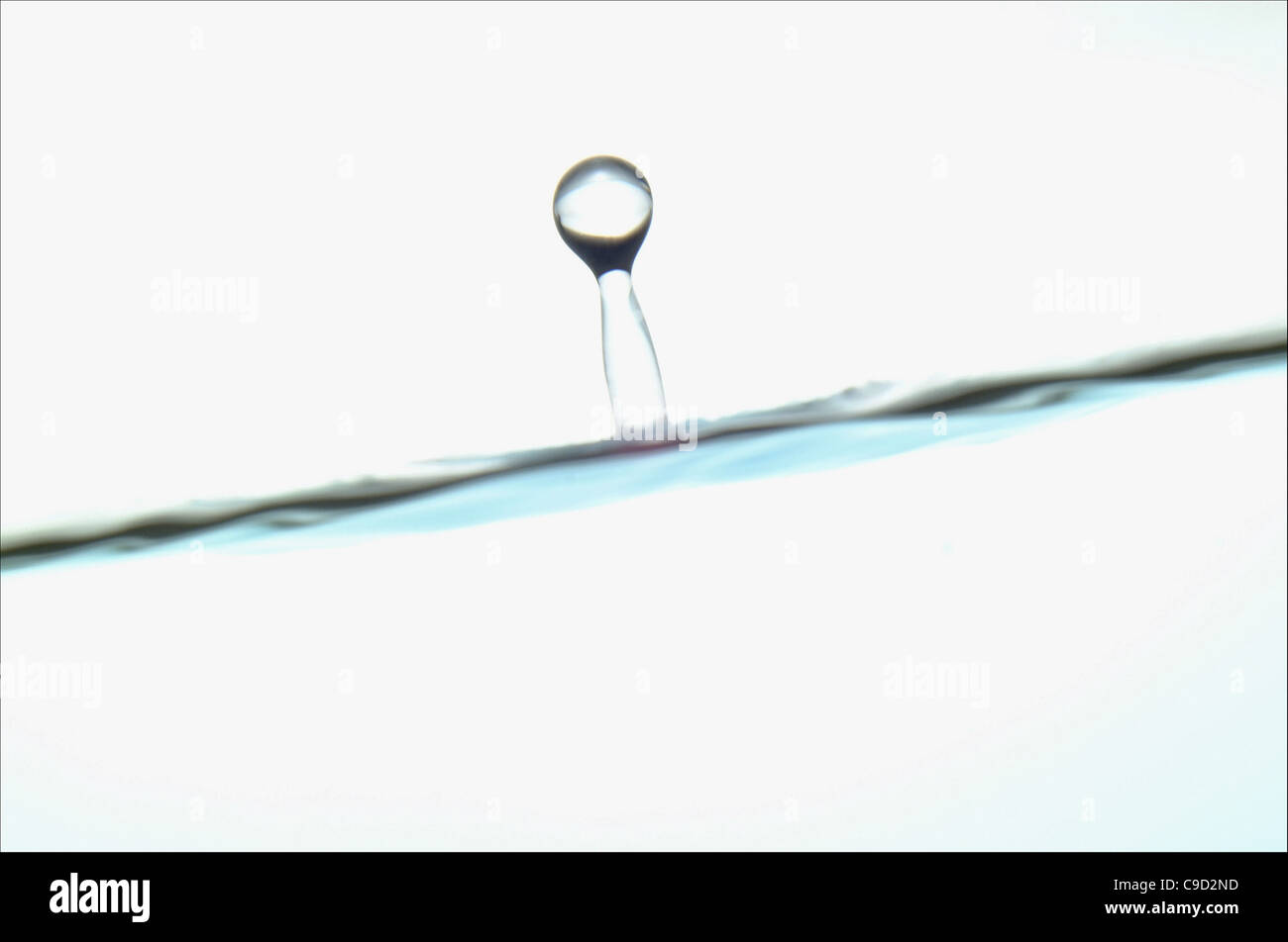 Water drop rising on the surface of water Stock Photo - Alamy