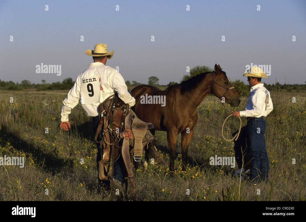 Two cowboys standing beside a horse holding a lasso and a saddle Stock ...