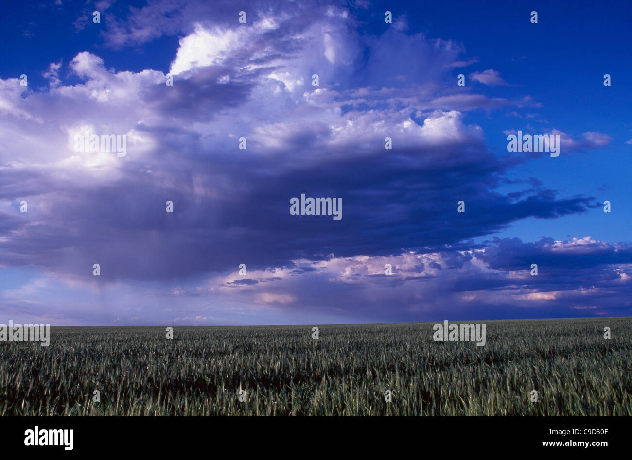 Panoramic view cultivated field hi-res stock photography and images - Alamy