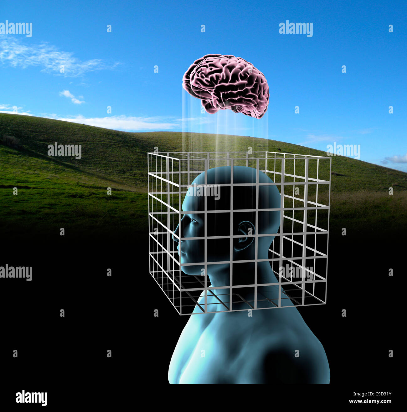 Thinking Outside The Box - Digital image of man with head in box and ...