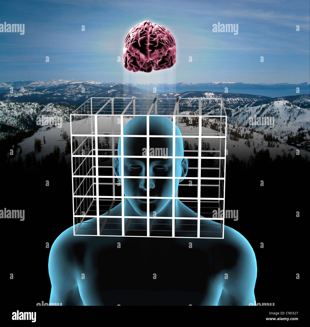 Thinking Outside The Box - Digital image of man with head in box and ...