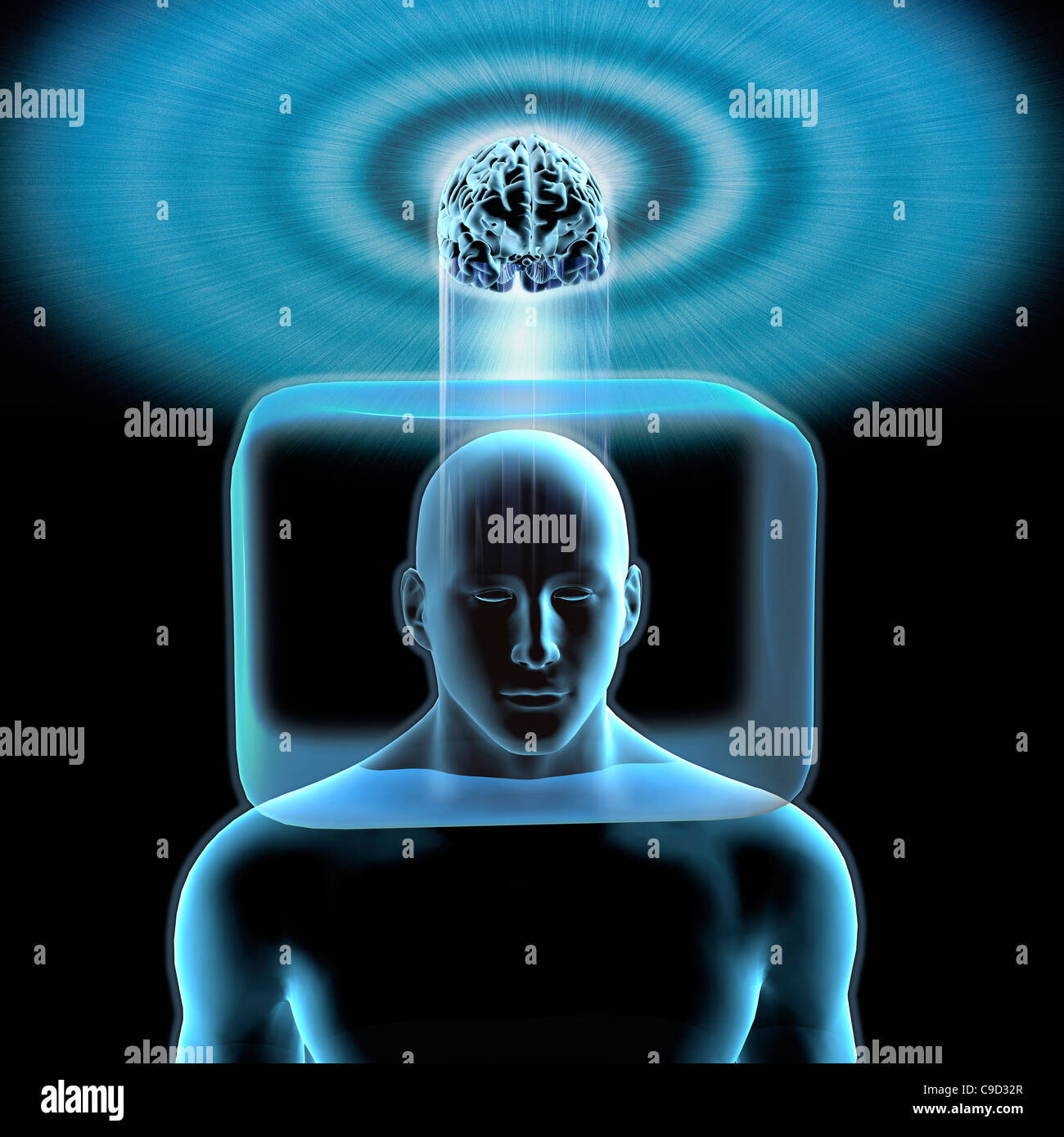 Human brain in transparent box hi-res stock photography and images - Alamy