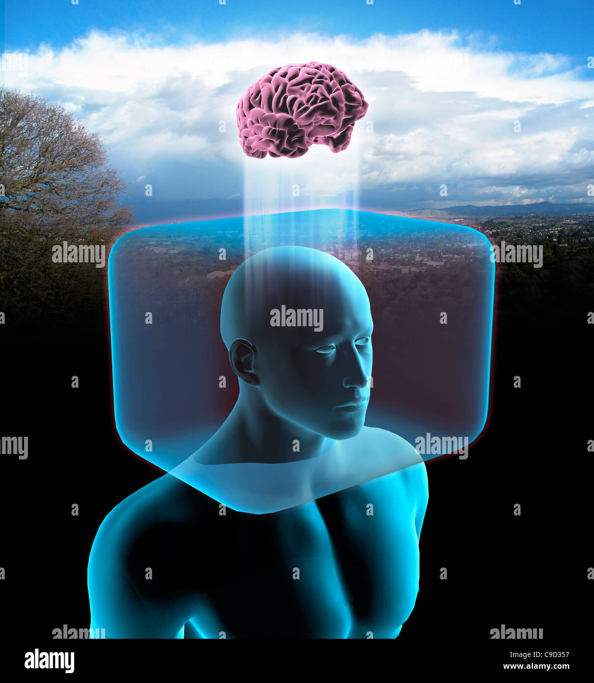 Thinking outside the box in human brain hi-res stock photography and ...