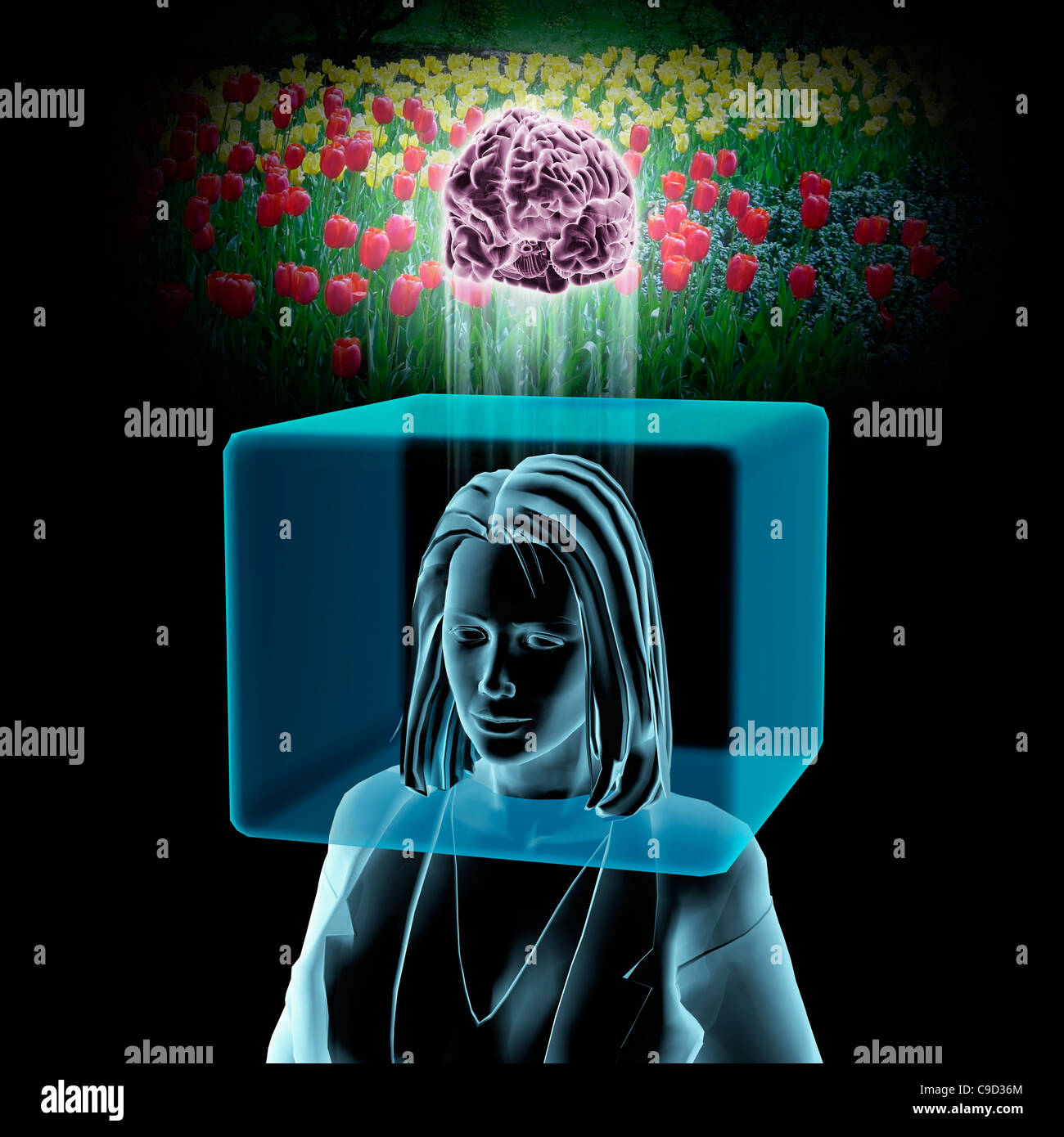 Thinking Outside The Box In Human Brain High Resolution Stock ...