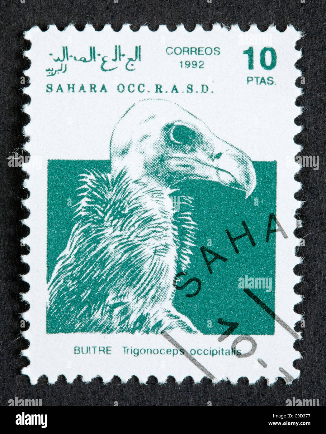 Sahara occ rasd postage stamp Stock Photo - Alamy