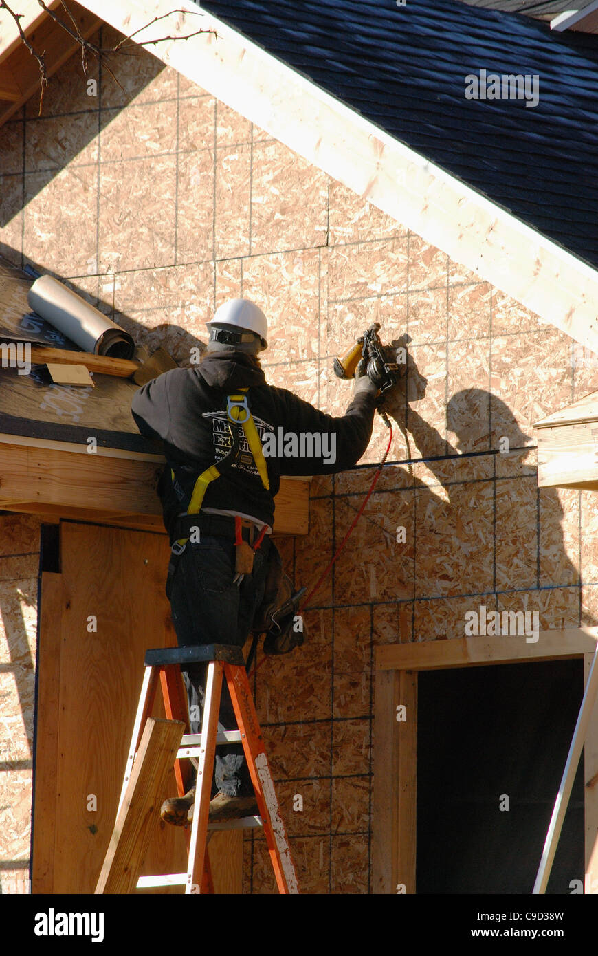 Carpenter on ladder at roof Stock Photo - Alamy