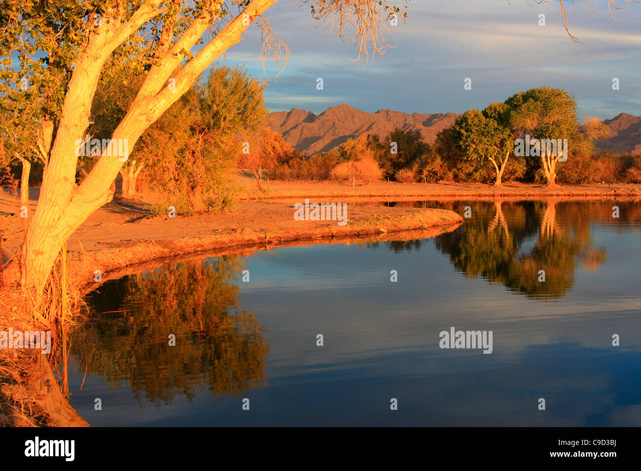 USA, Arizona, Yuma, Fortuna Pond at sunset Stock Photo - Alamy
