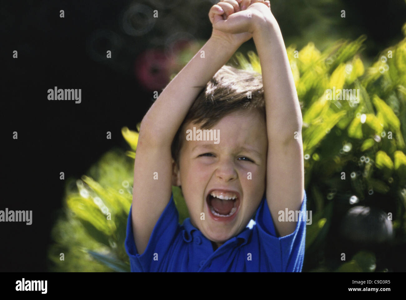 Portrait of a boy shouting with his hands raised Stock Photo - Alamy