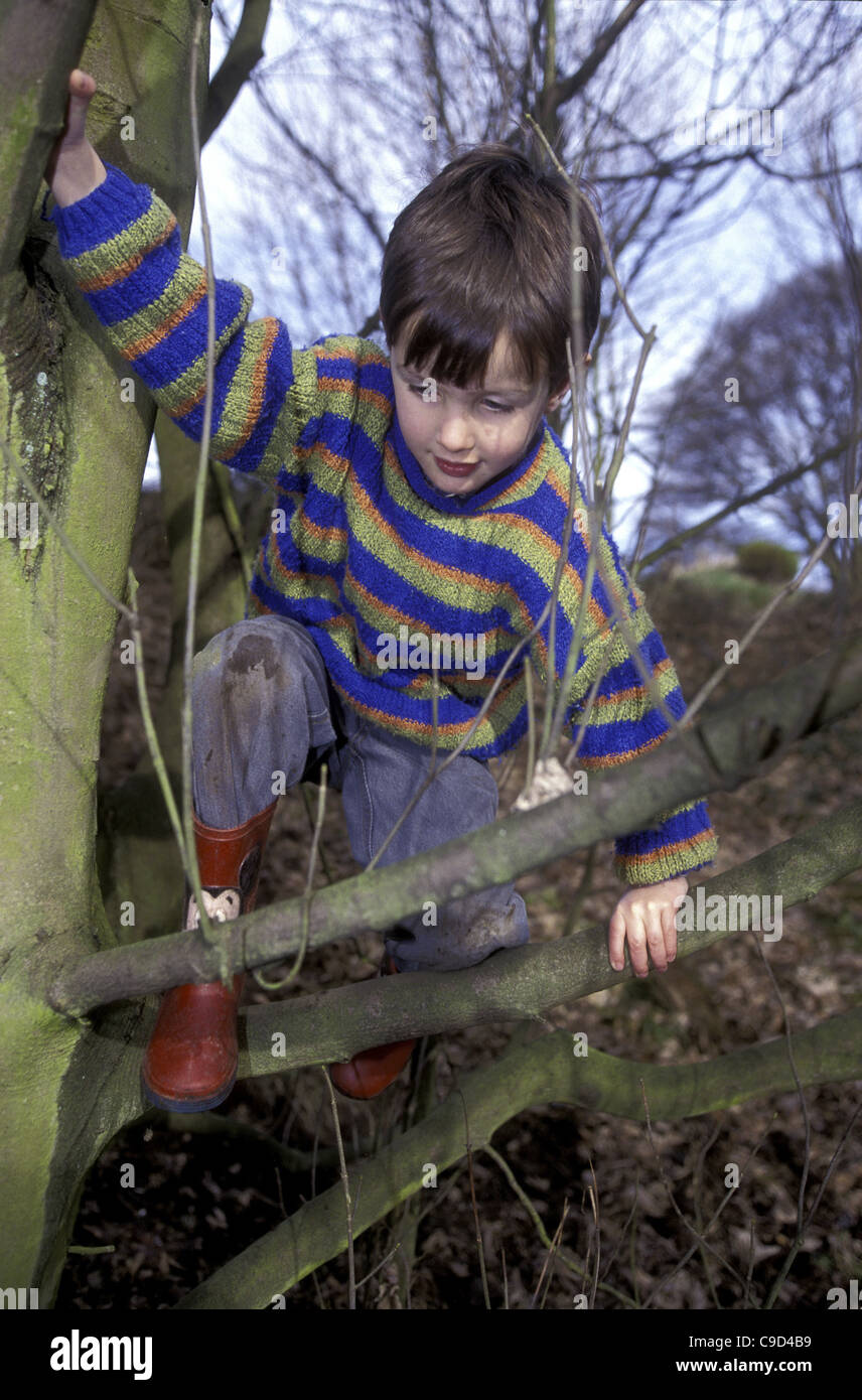 Boy climbing a tree Stock Photo - Alamy