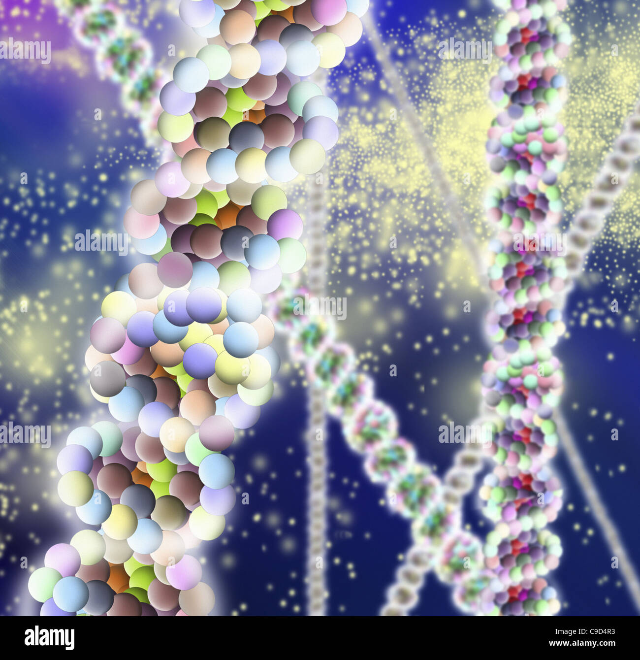 Dna model nobody hi-res stock photography and images - Alamy