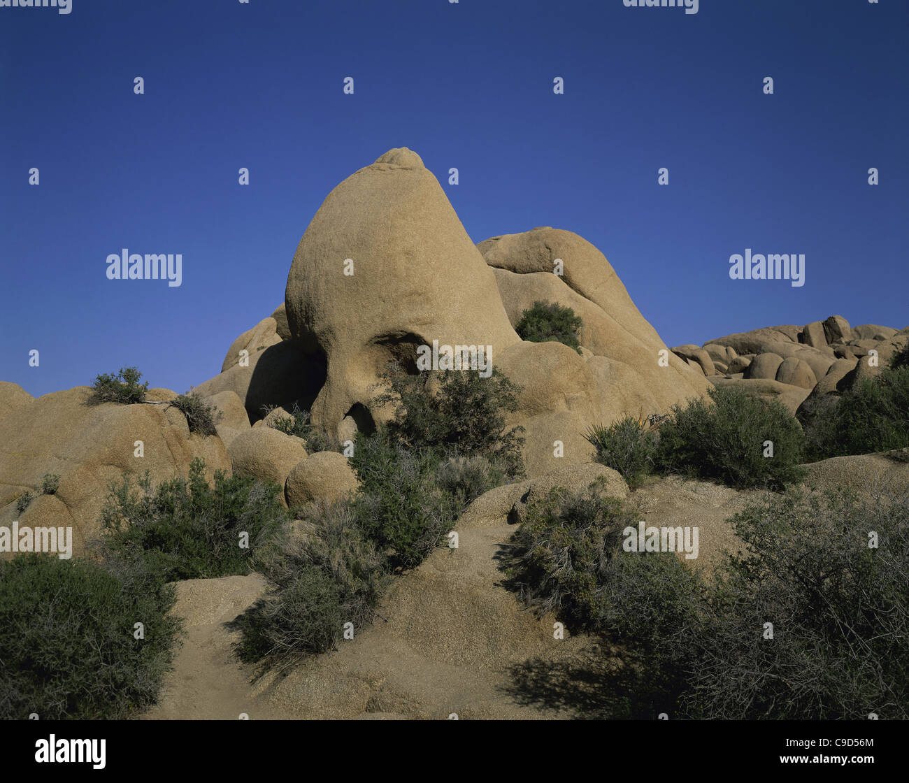 Skull Rock, Joshua Tree National Park, California, USA Stock Photo - Alamy