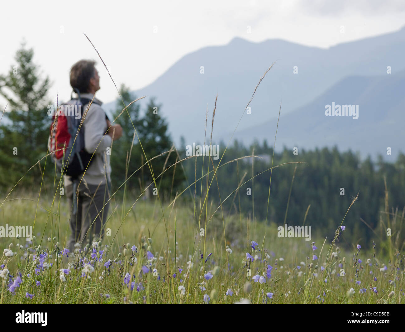 Canada, Alberta, Rear view of man with knapsack standing in mountain ...