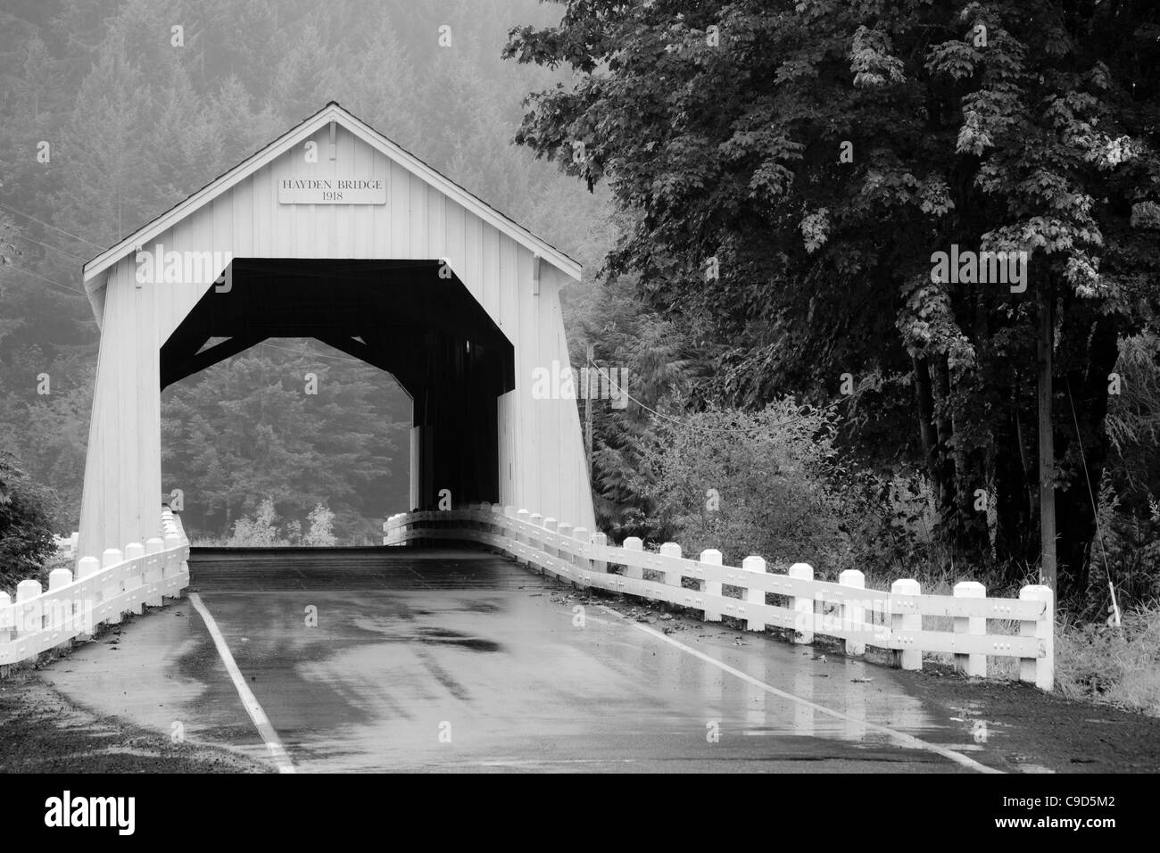 USA, Oregon, Hayden Covered Bridge crossing Alsea River Stock Photo - Alamy